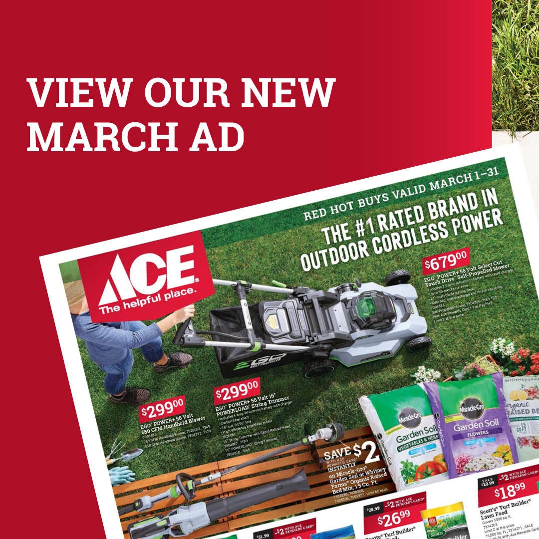 Laurel Ace Hardware, Oakland