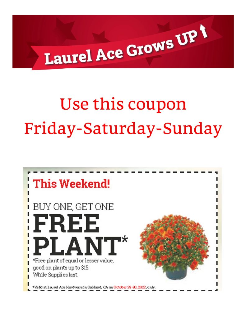 Free Plant | Laurel Ace Oakland
